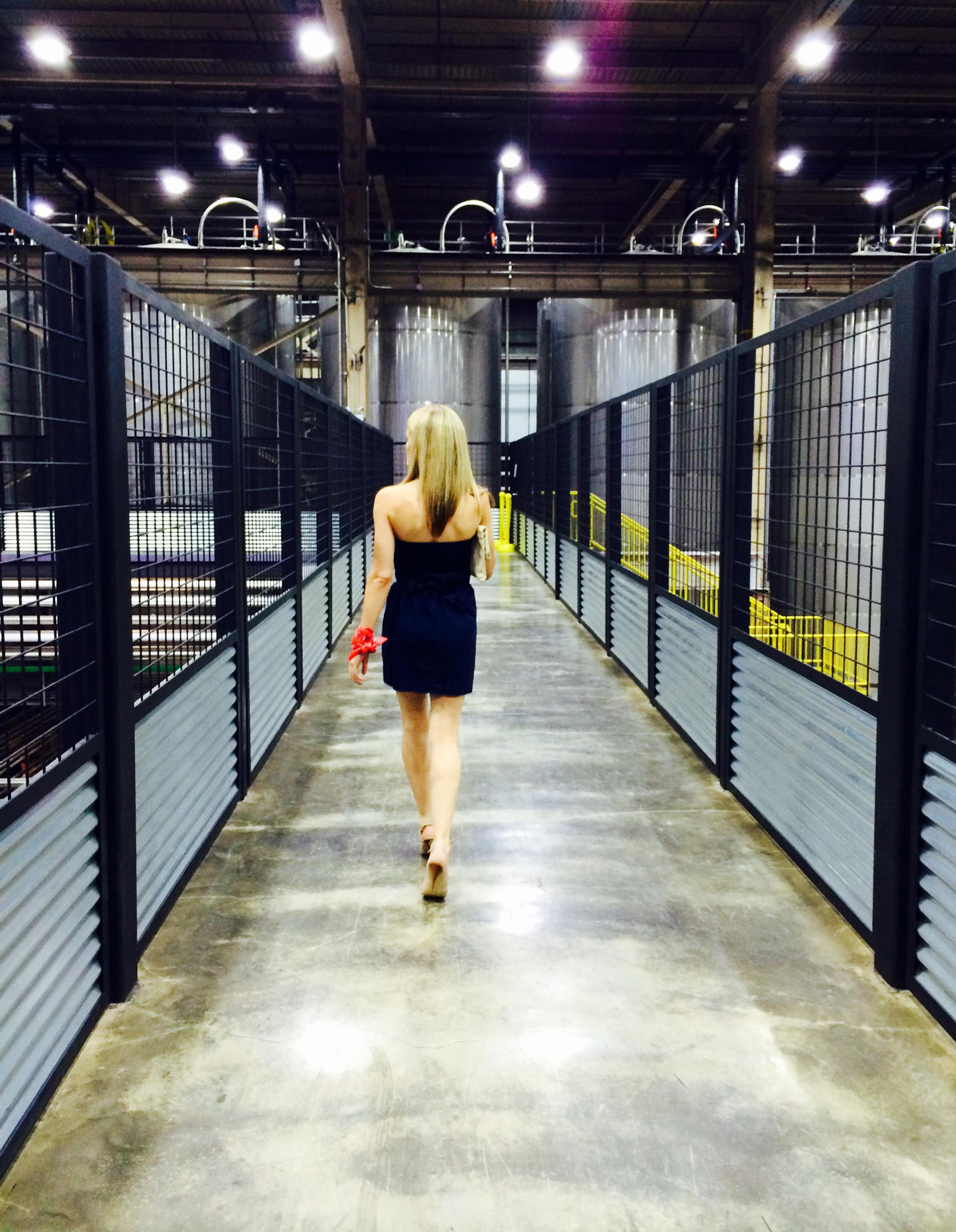 4PHOTOS: Chicago Dance Crash Cofounder Charlie Cutler and the Dancers ...